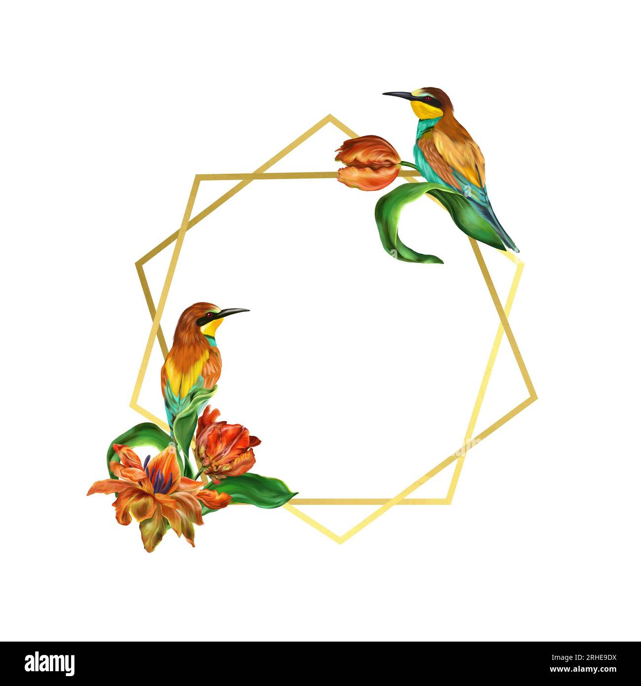 Birds Wedding Invitation Borders Page 74 | Bird Border Vector Art,