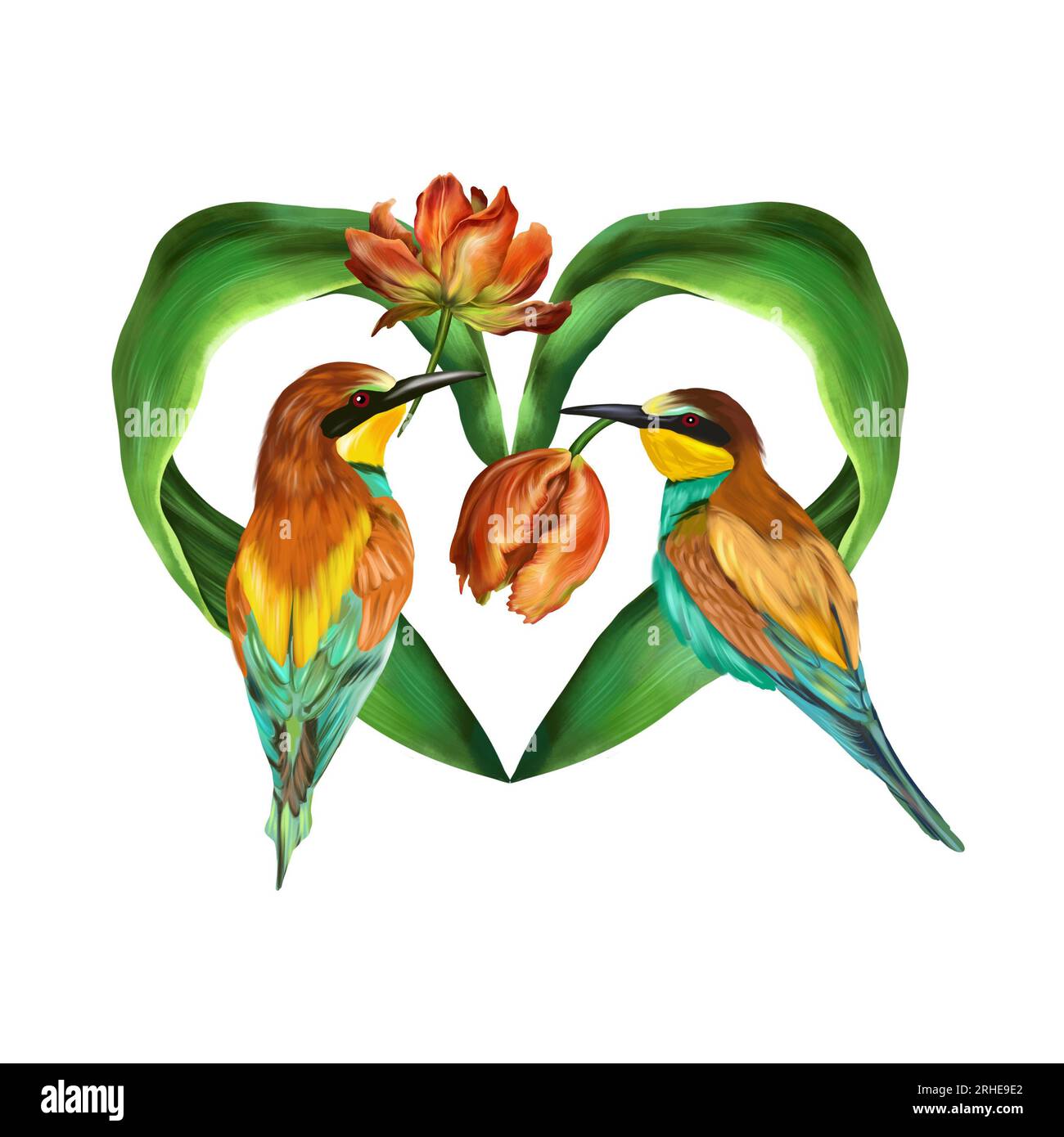 Two birds, flowers and leaves of a tulip. Botanical illustration ...