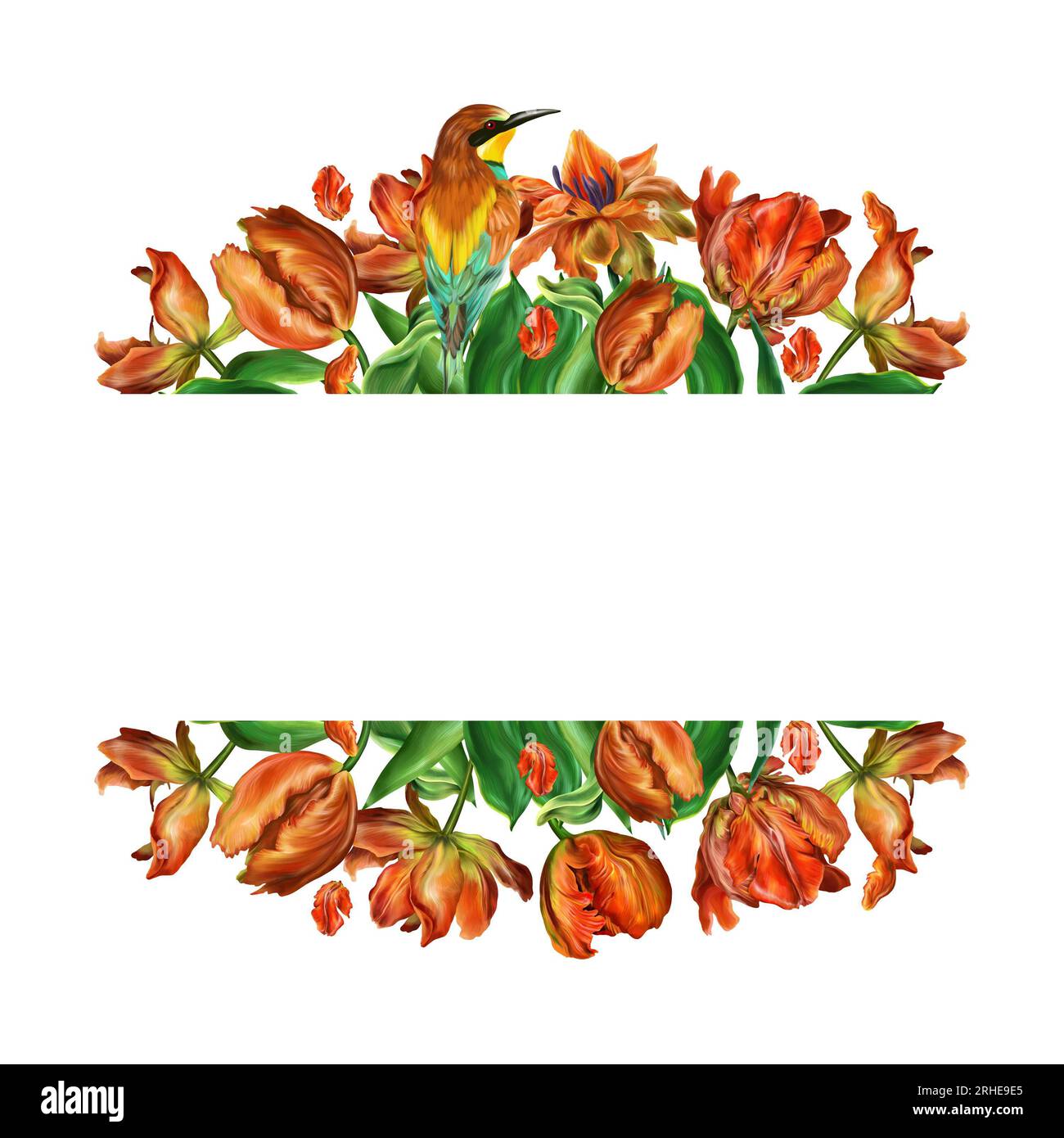 Bird, tulip flowers, template for inserting text. Floral border ...