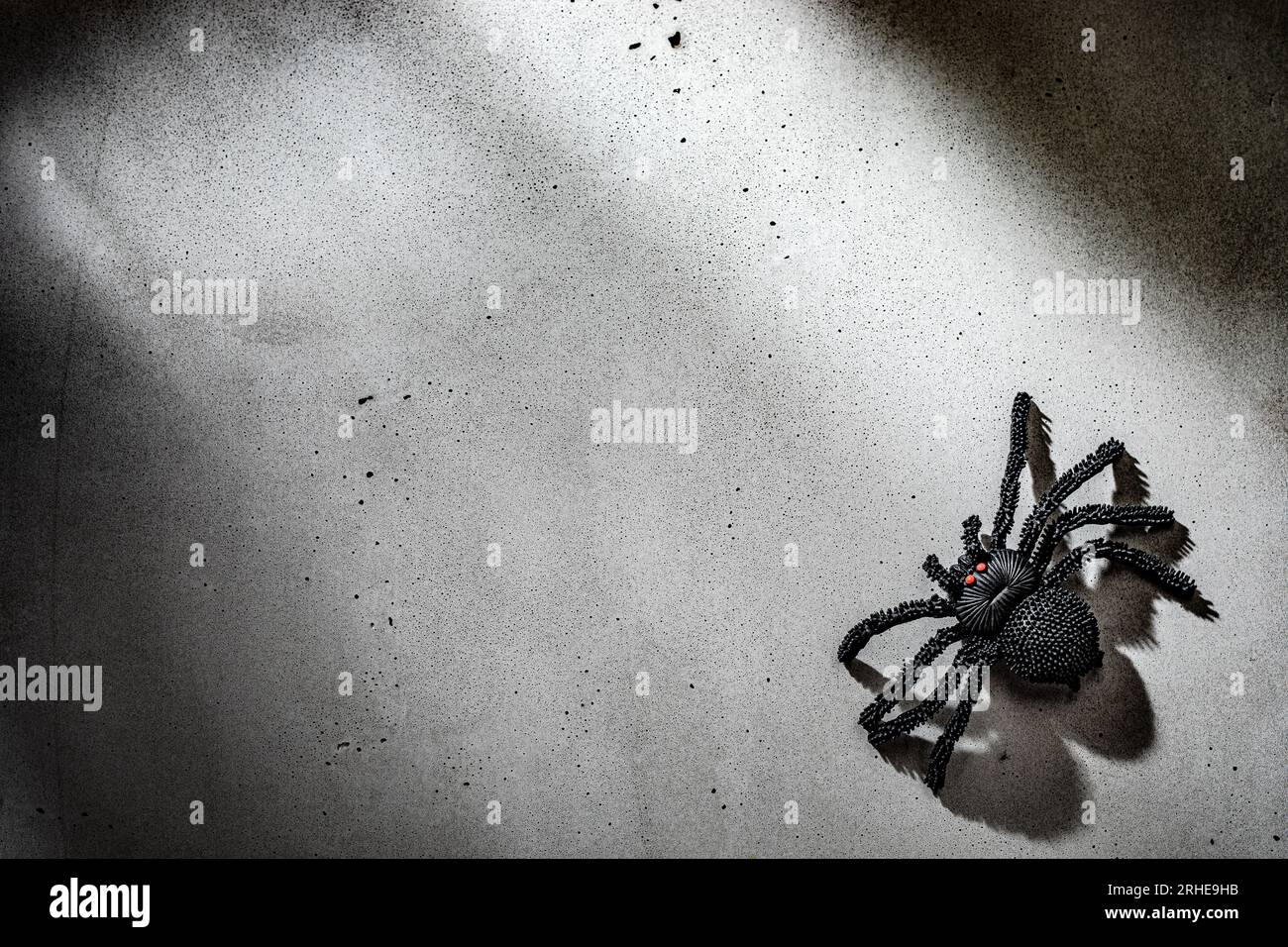 Halloween background with copy space. Big black spider in basement ...