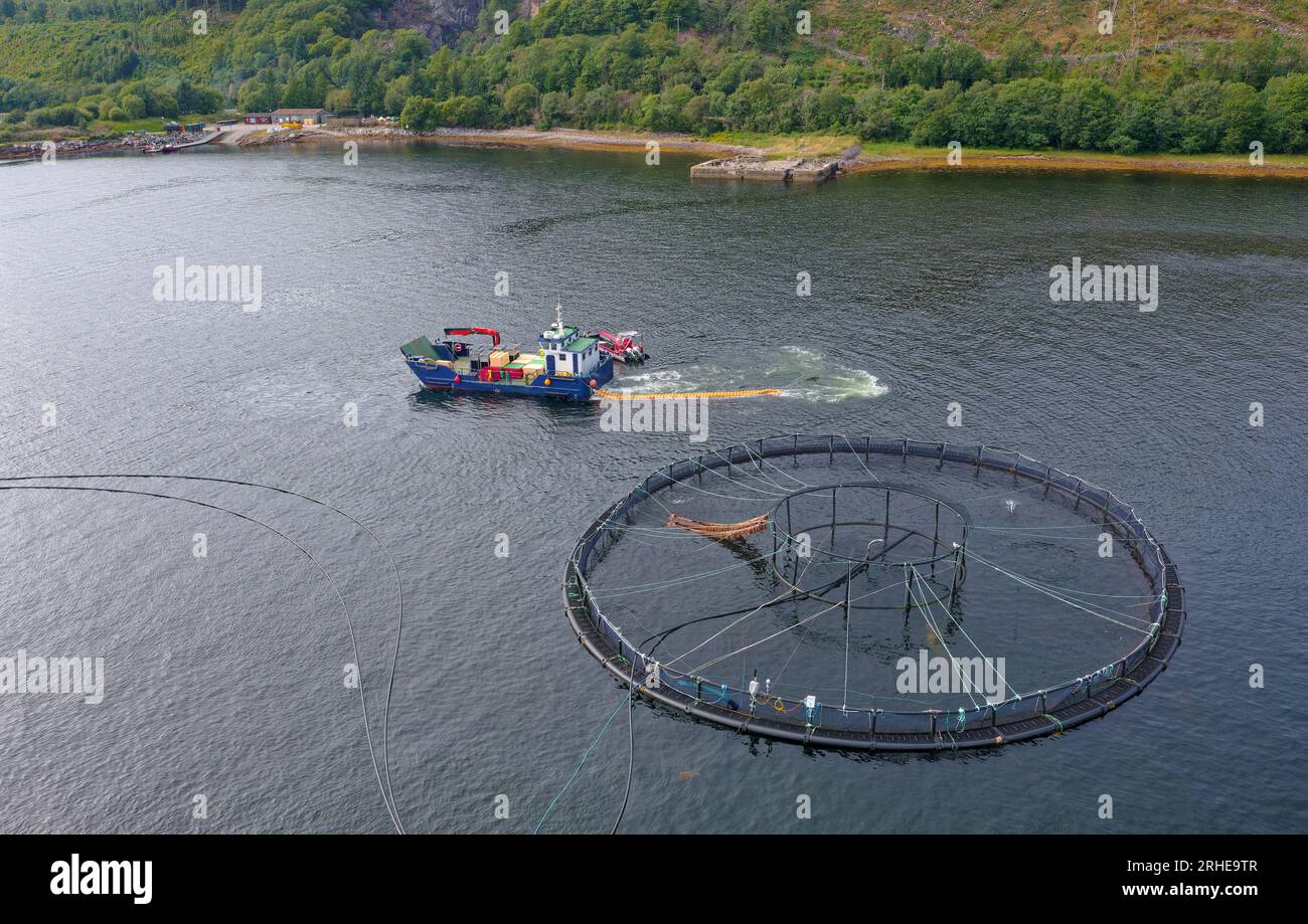 Fish farm salmon round nets in natural environment Loch Fyne Arygll and ...