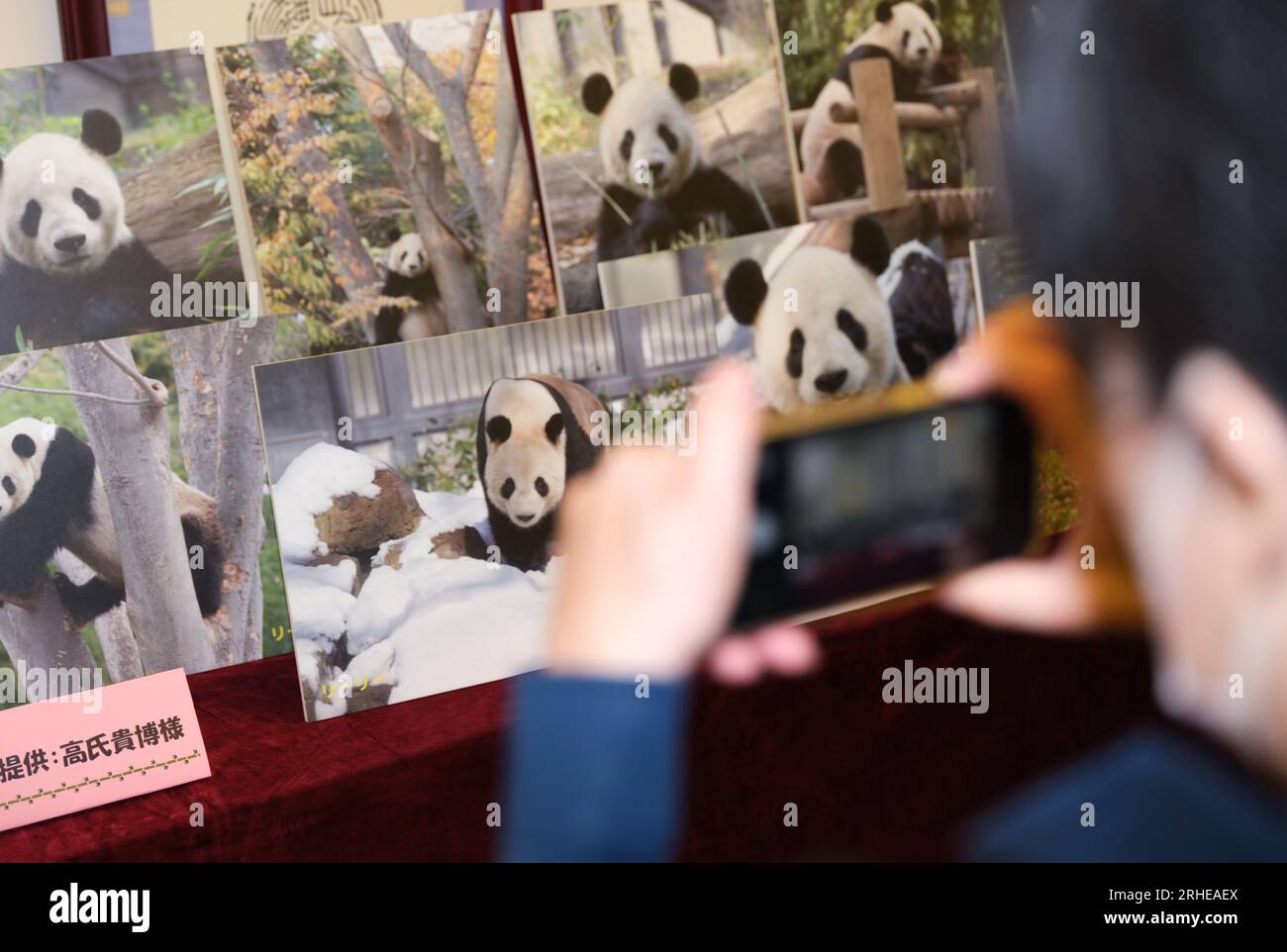 Tokyo, Japan. 16th Aug, 2023. A visitor takes pictures of the printed ...