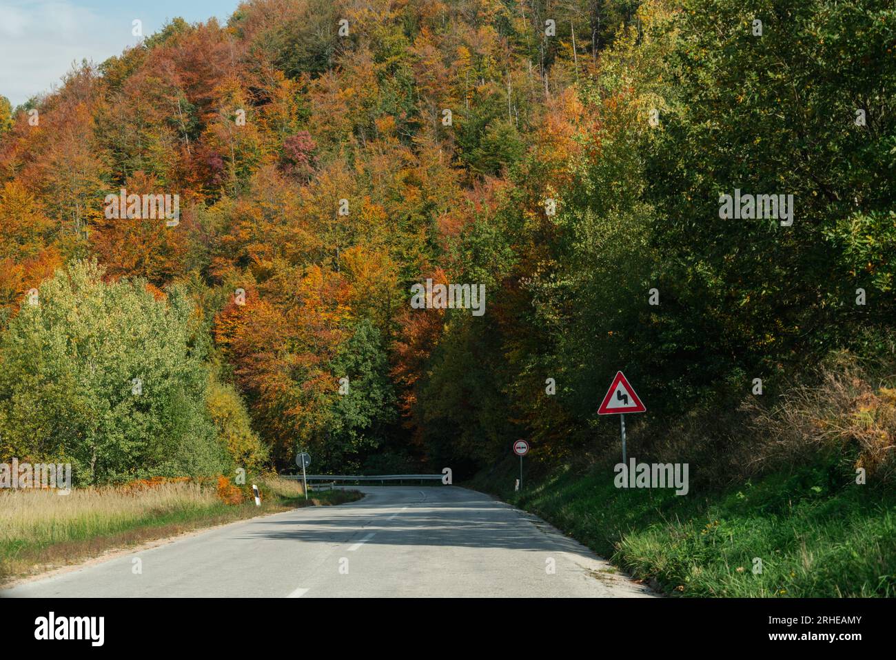 Mountain landscape path forest through hi-res stock photography and ...