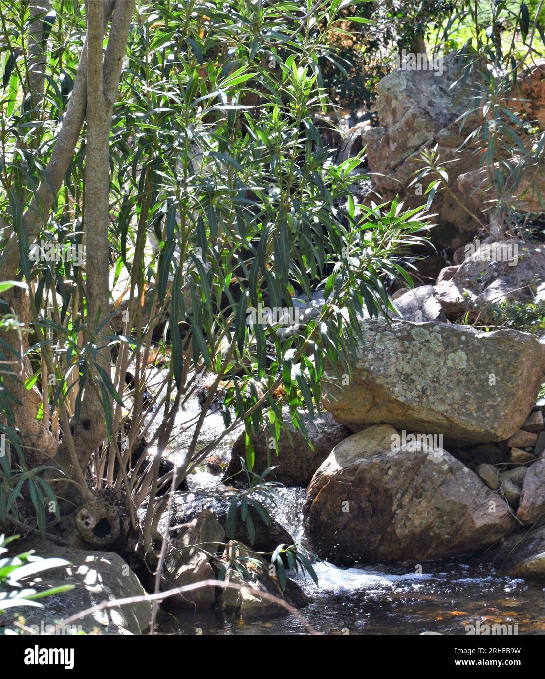 sa spendula waterfalls, Villacidro, Sardinia Stock Photo - Alamy