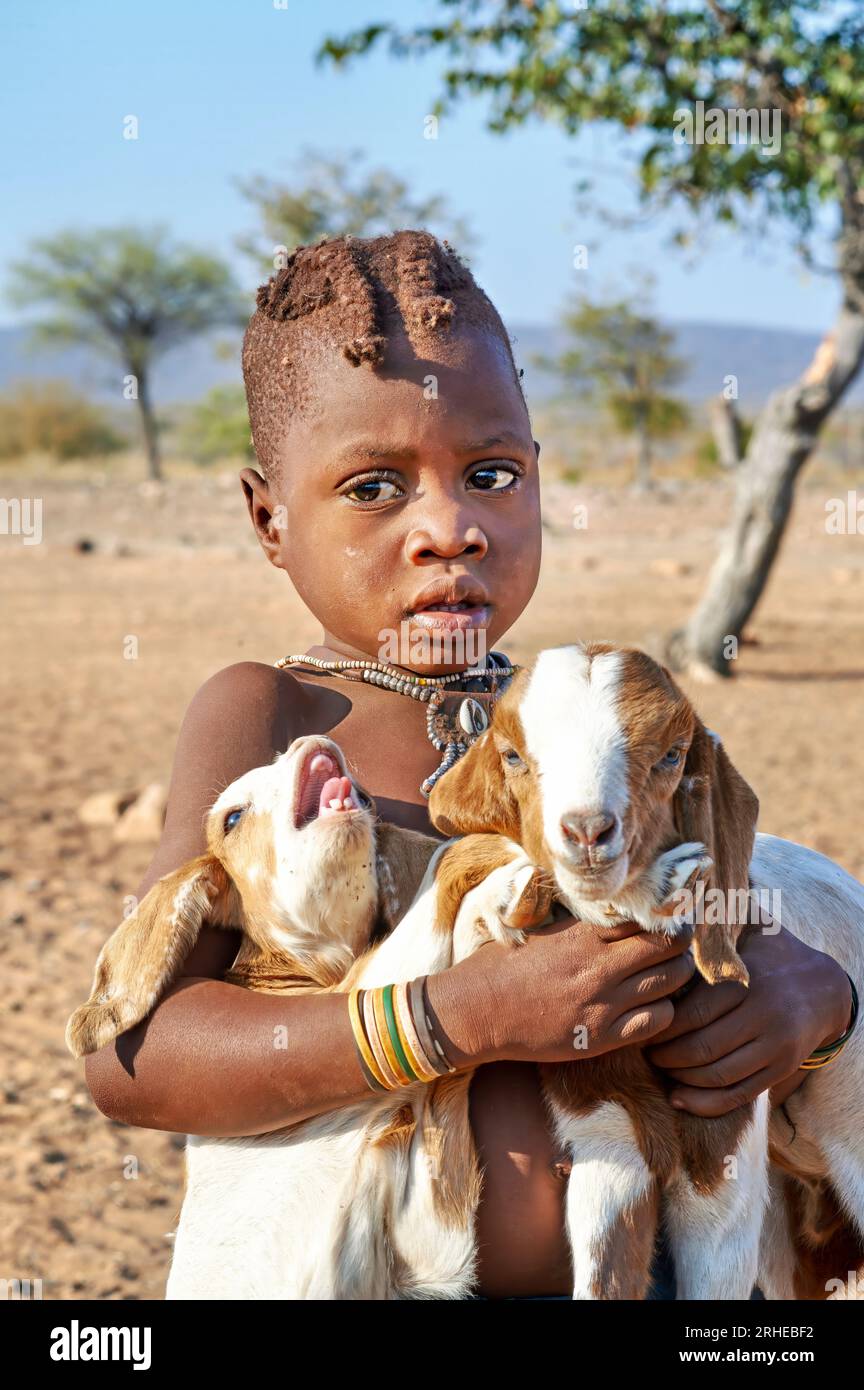 Kaokoland namibia goats village hi-res stock photography and images - Alamy