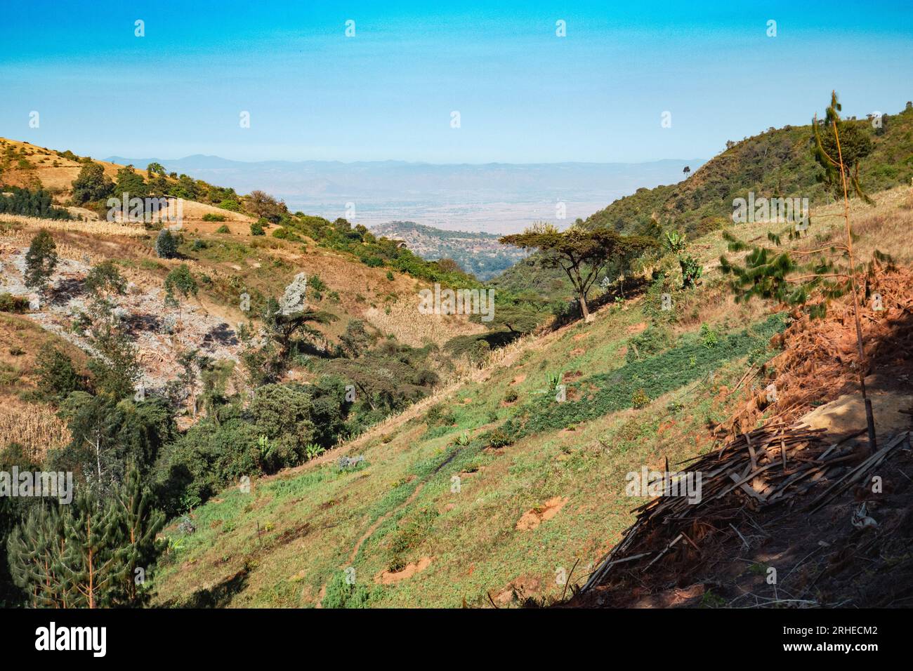 Scenic view of small scale maize farms with houses at Mbeya Town in ...