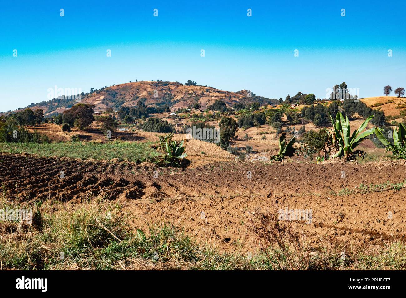 Scenic view of small scale maize farms with houses at Mbeya Town in ...