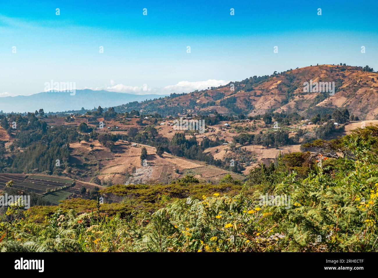 Scenic view of small scale maize farms with houses at Mbeya Town in ...