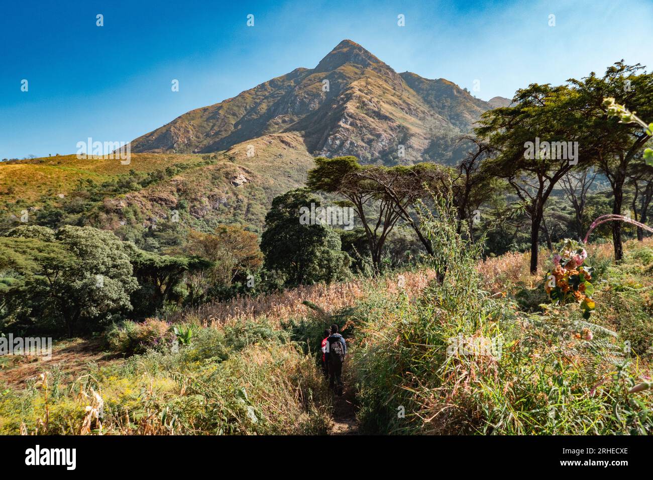 Rear view of hikers against background of Mbeya Peak in Tanzania Stock ...
