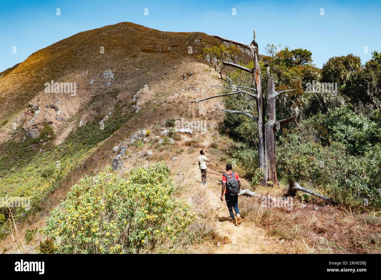 Rear view of hikers against background of Mbeya Peak in Tanzania Stock ...