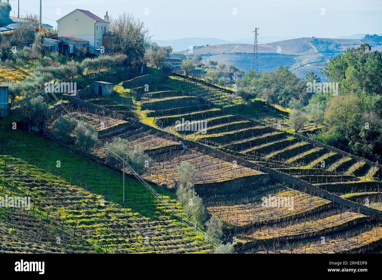 Agriculture feature hi-res stock photography and images - Alamy