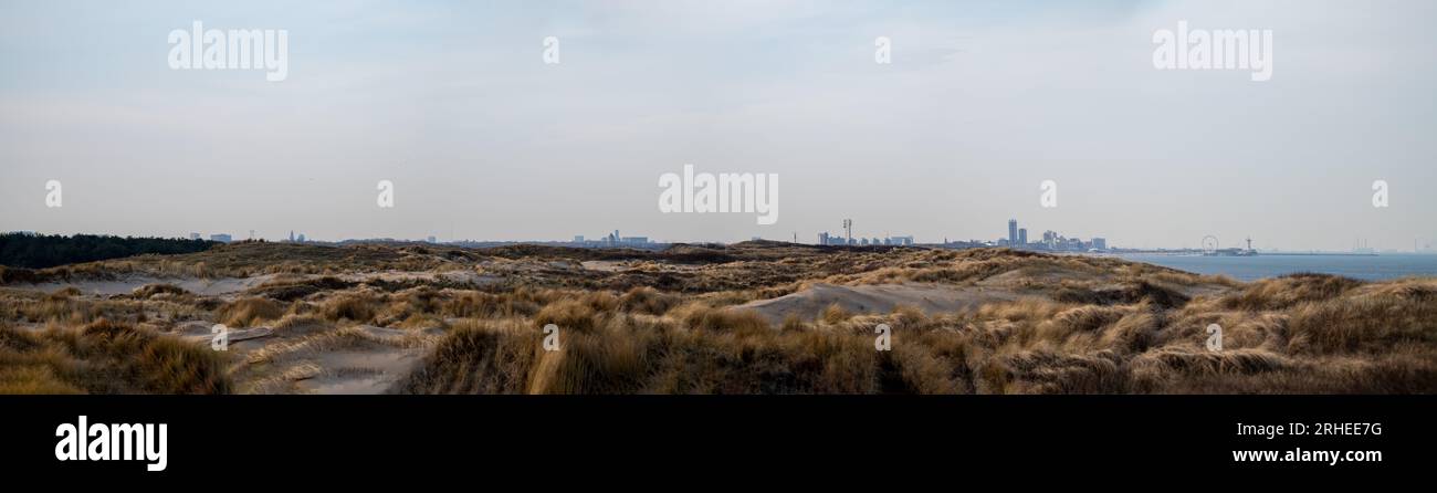 Scheveningen dunes hi-res stock photography and images - Alamy