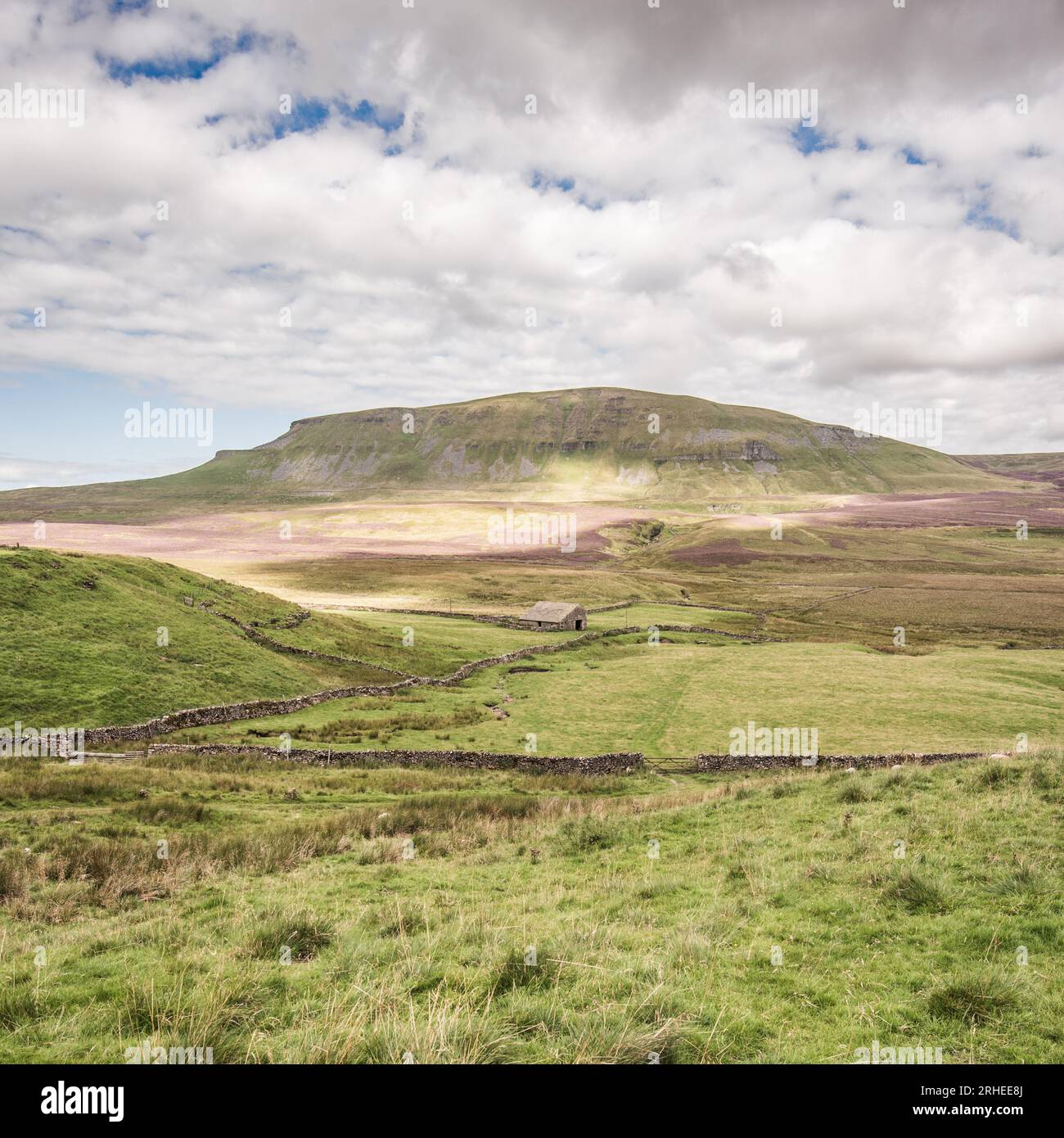 Pen-y-Ghent, one of the Yorkshire Dales 'Three Peaks', seen from the ...
