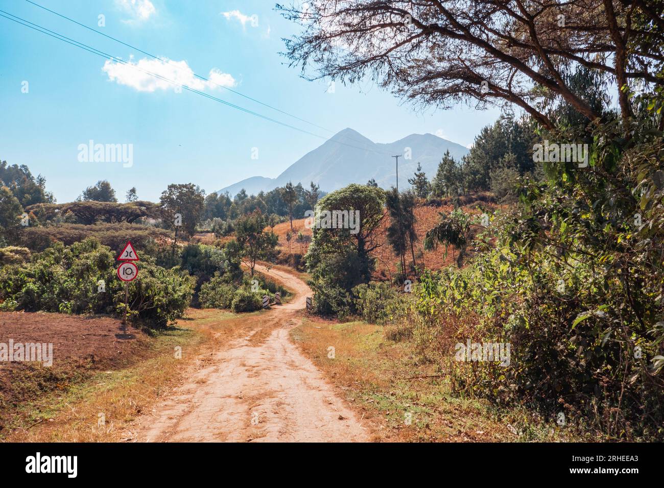 African landscape with acacia tree and dirt road in Mbeya, Tanzania ...