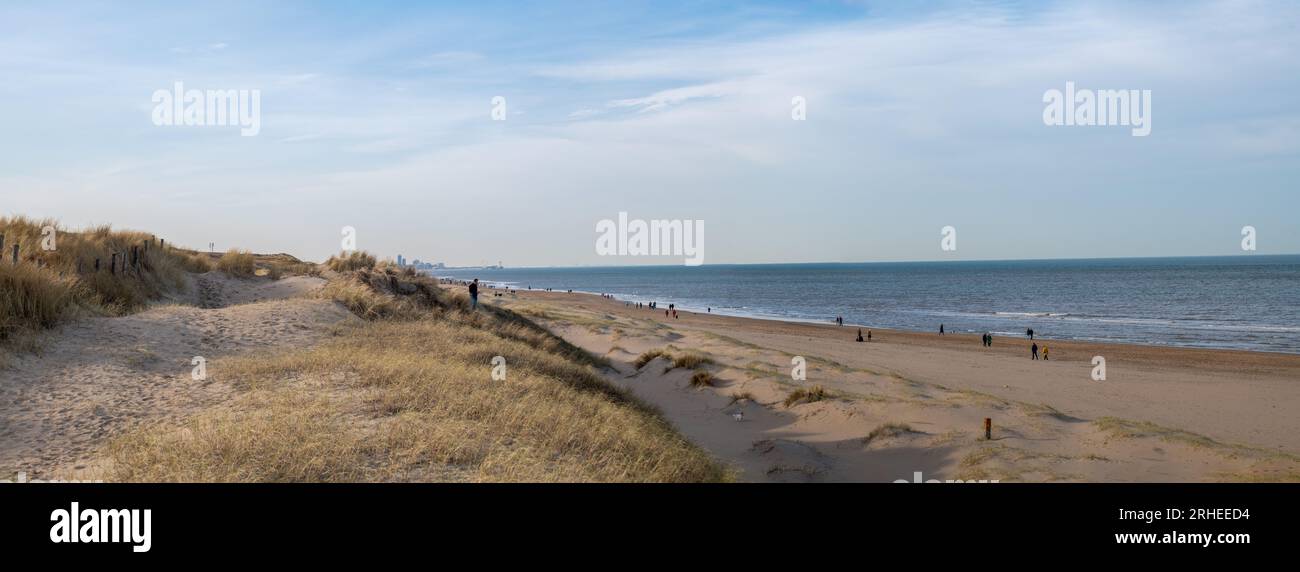 Scheveningen dunes hi-res stock photography and images - Alamy