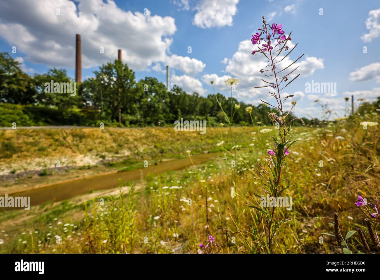 Bottrop, North Rhine-Westphalia, Germany - Renaturalized Boye, the ...
