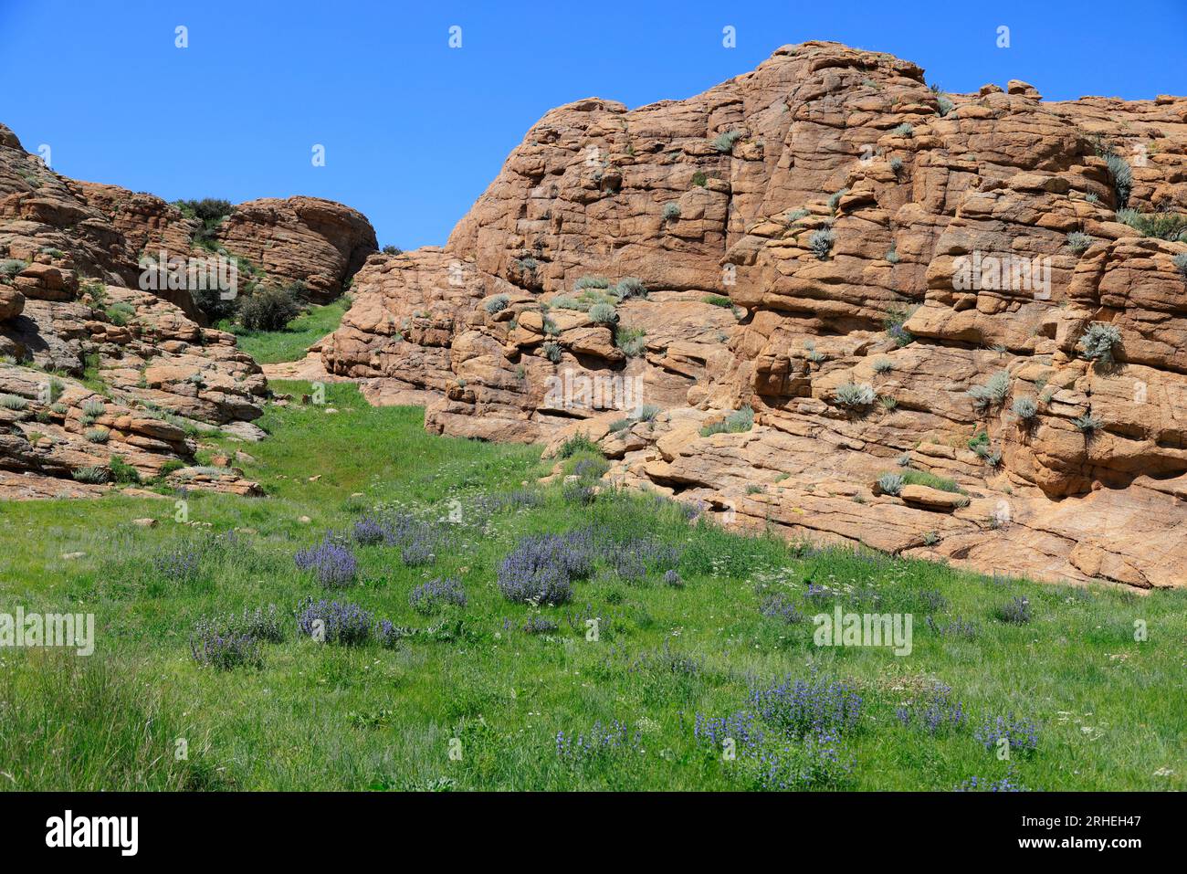 Baga Gazriin Chuluu rock formations, Mongolia Stock Photo - Alamy