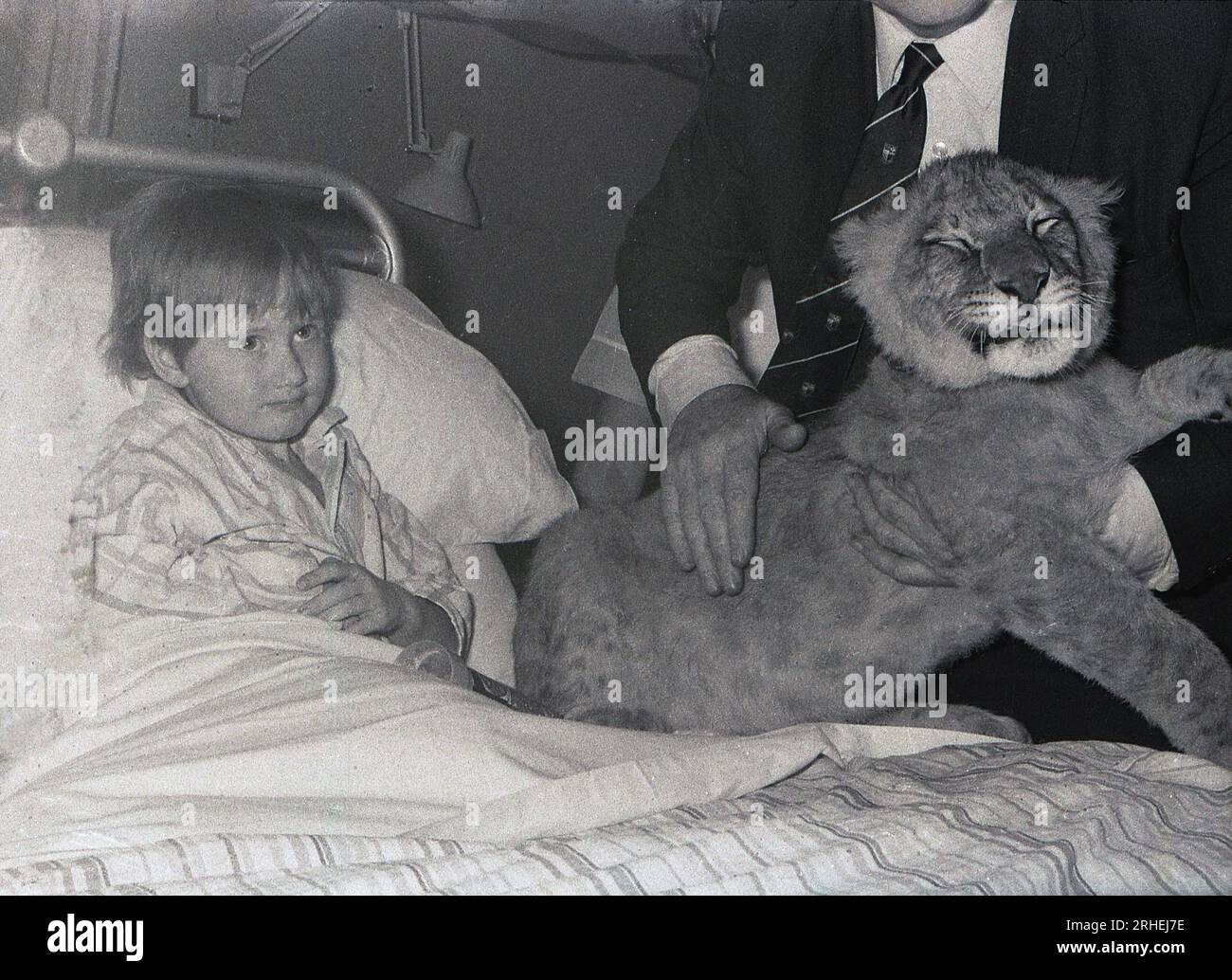 1970s, historical, in a south london hospital, a small boy patient has ...