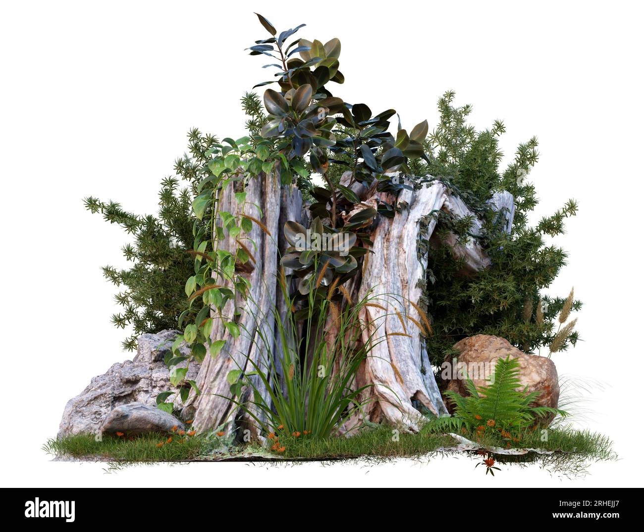 Isolated death tree stump with ivy and small plant growing around, 3d ...