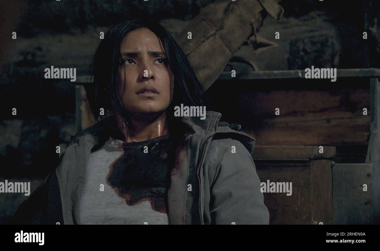 Joe pickett hi-res stock photography and images - Alamy