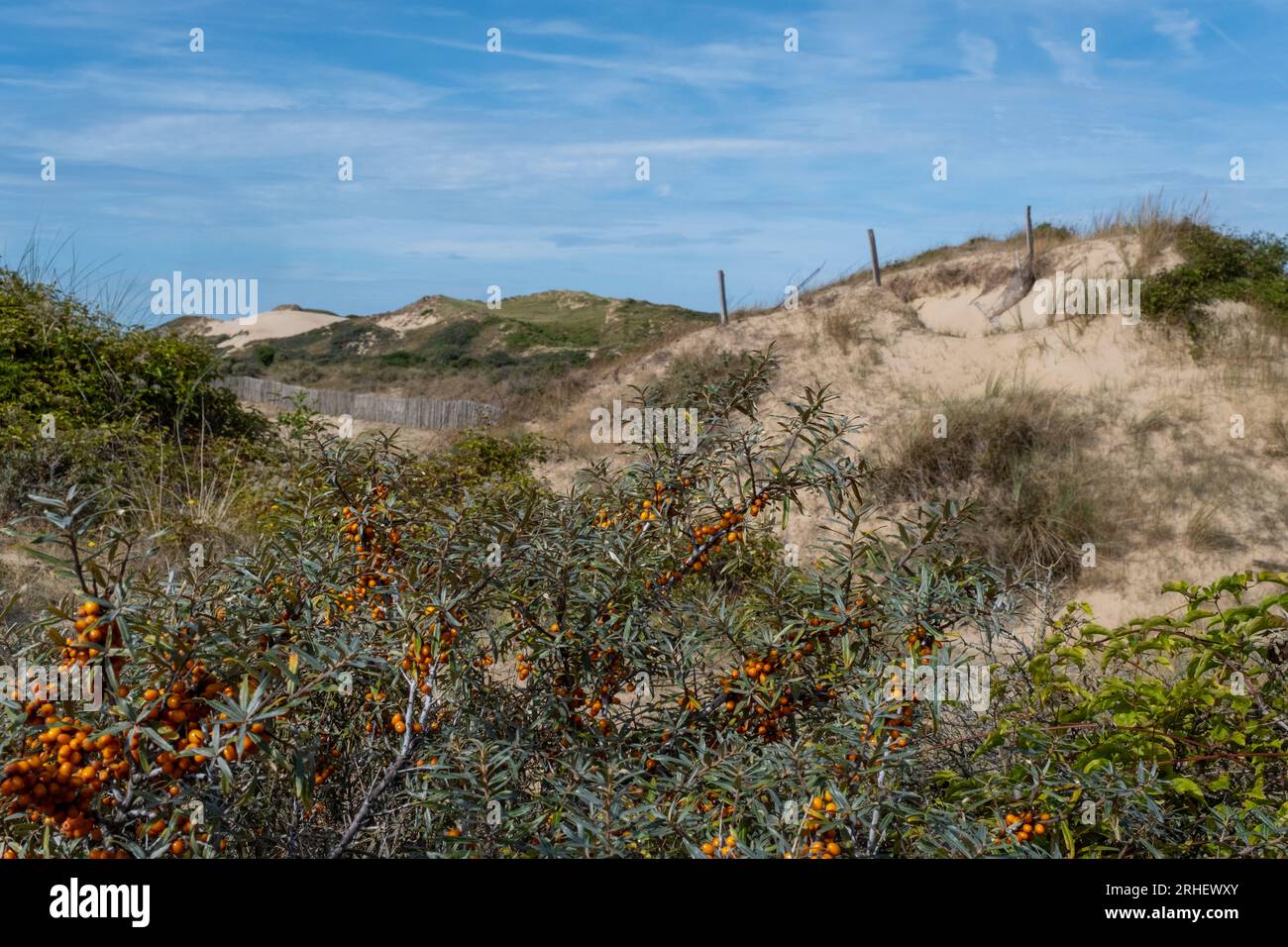 Sand dunes ambleteuse hi-res stock photography and images - Alamy