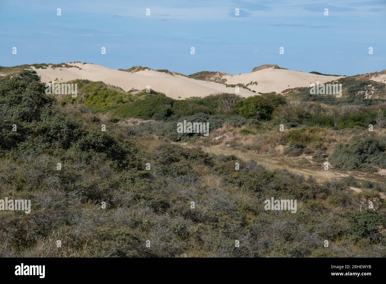 Sand dunes ambleteuse hi-res stock photography and images - Alamy