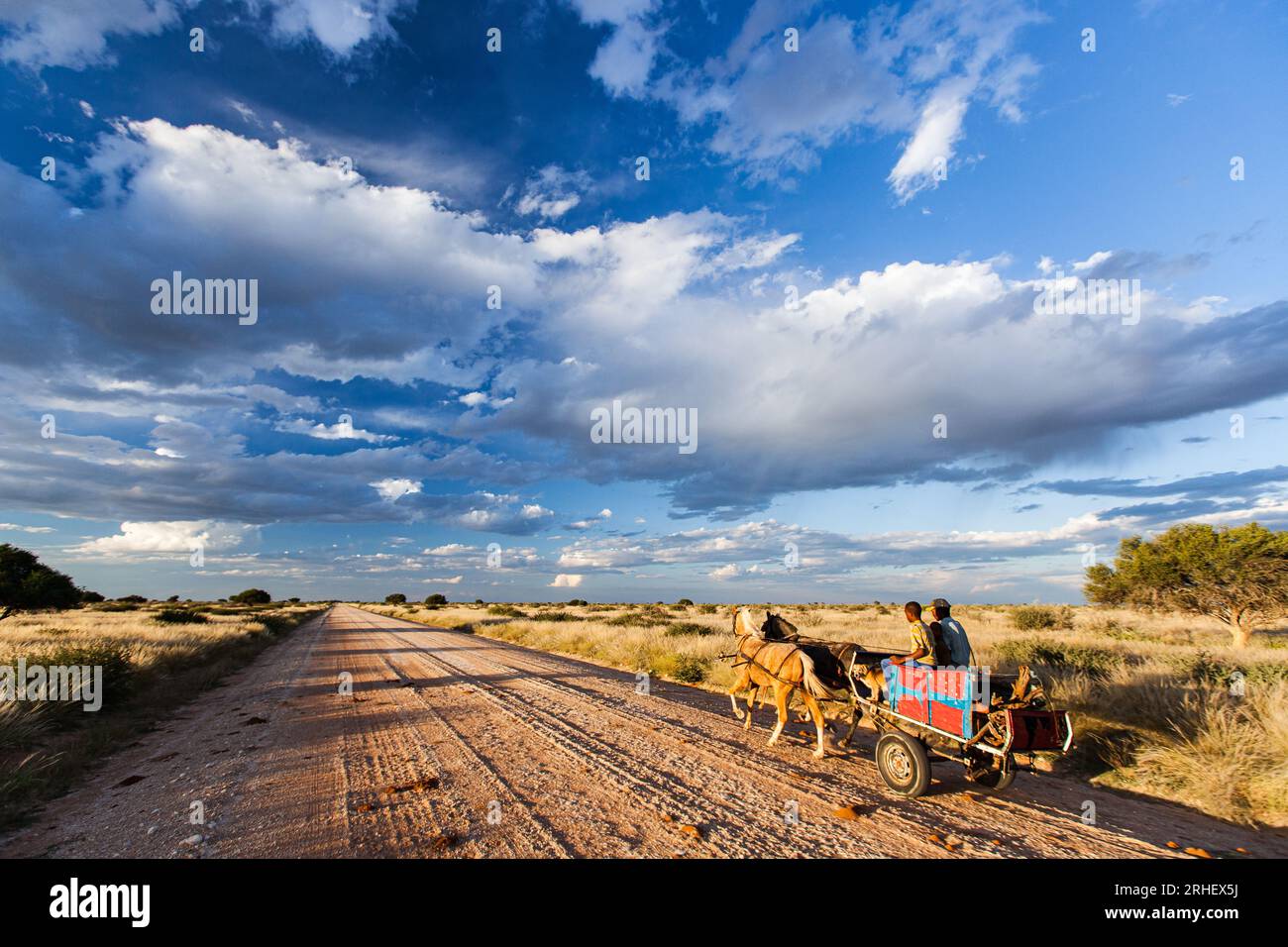 Horse-drawn carriage transport on rural gravel road with blue sky and ...