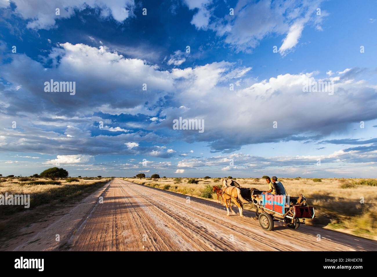 Horse-drawn carriage transport on rural gravel road with blue sky and ...