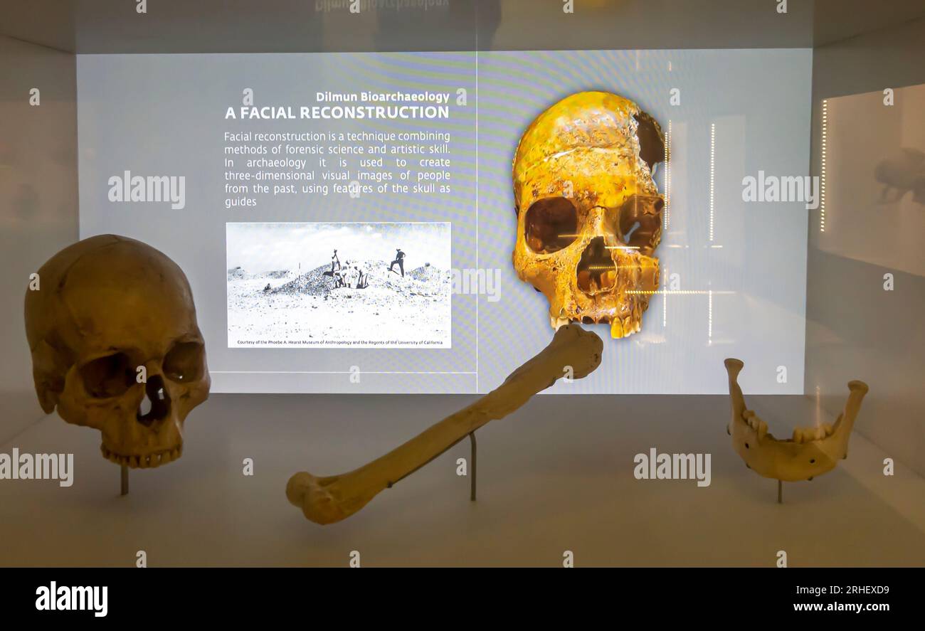 Faces reconstructed hi-res stock photography and images - Alamy