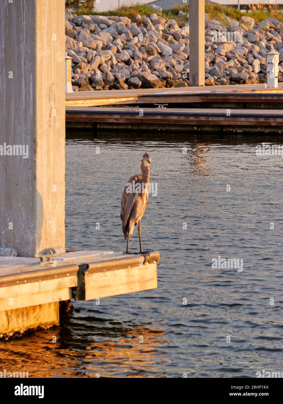 Orange Beach, Alabama - August 8, 2023: Evening Sunset Dolphin Cruise ...