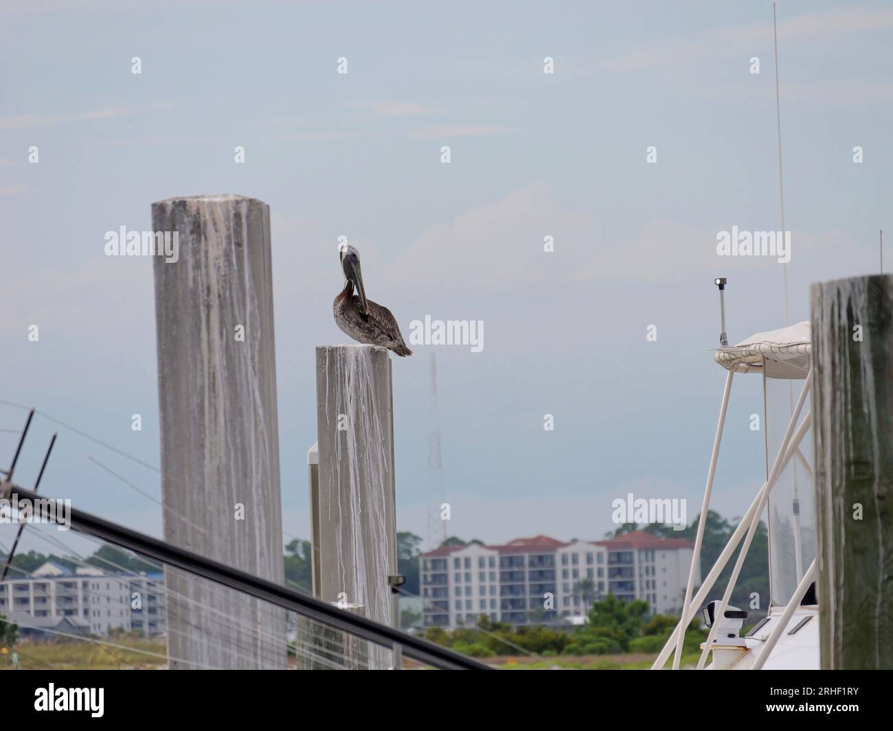 Orange Beach, Alabama - August 8, 2023: Evening Sunset Dolphin Cruise ...