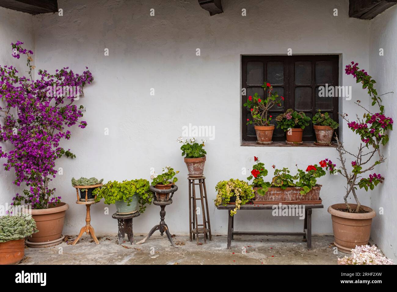 View of rustic white wall with wooden window and several pots with ...