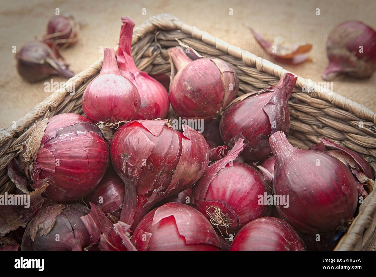 Growing red onions hi-res stock photography and images - Alamy