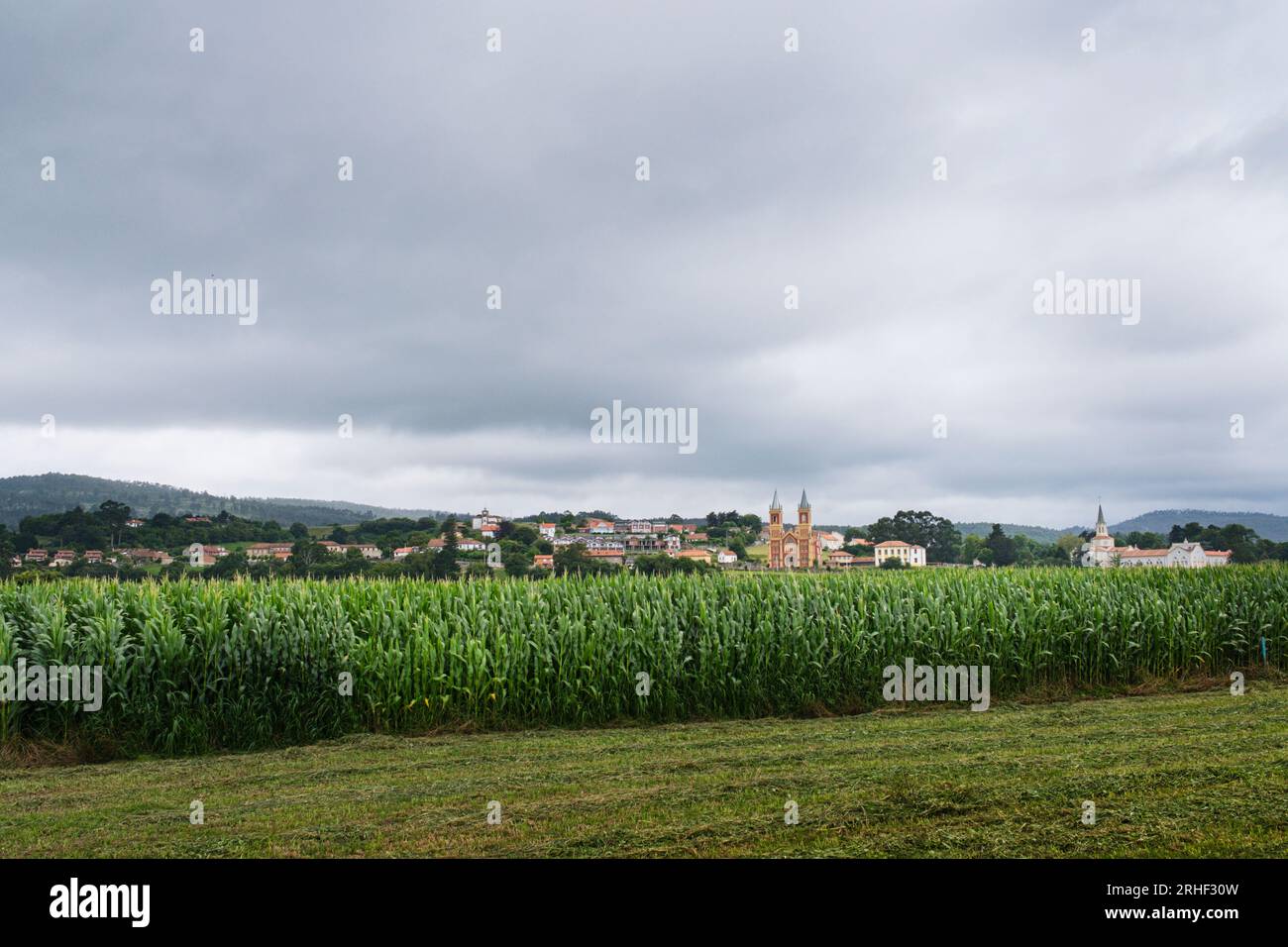 View of a corn plantation with the Cantabrian village of Novales in the ...