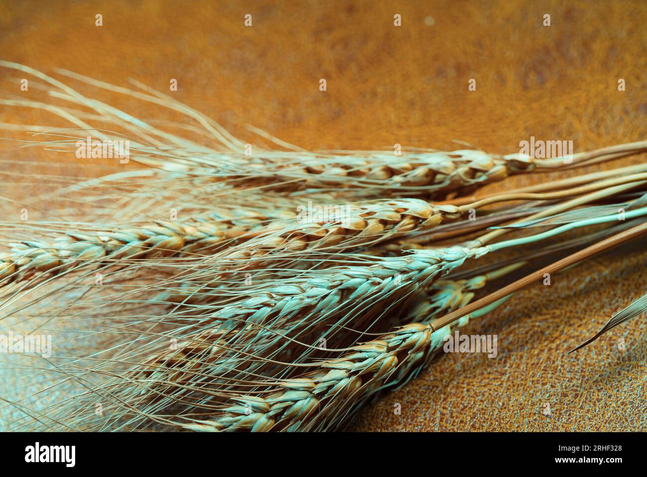 Selective focus of Wheat on brown leather background for concept idea ...