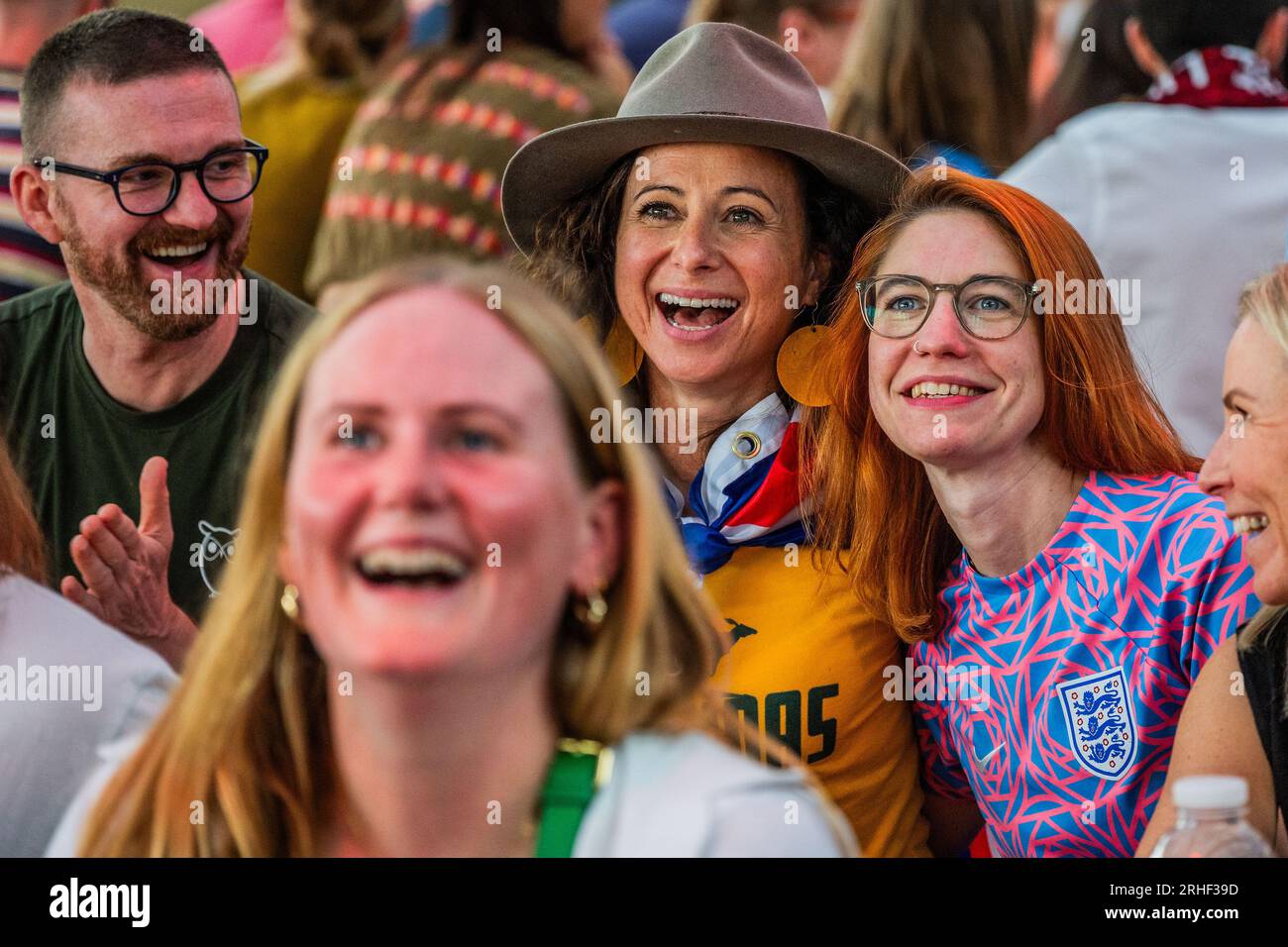 Lioness fans hi-res stock photography and images - Alamy