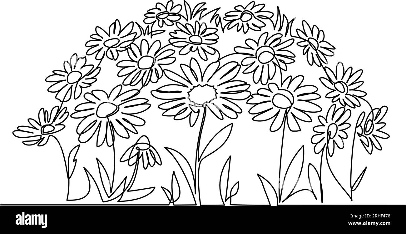 Daisy flowers field. Continuous one line art drawing style Stock Vector ...