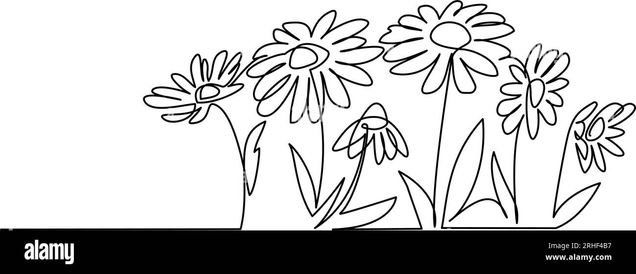 Daisy flowers field. Continuous one line art drawing style Stock Vector ...