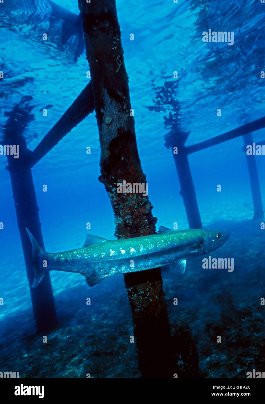 Mare e oceano hi-res stock photography and images - Alamy