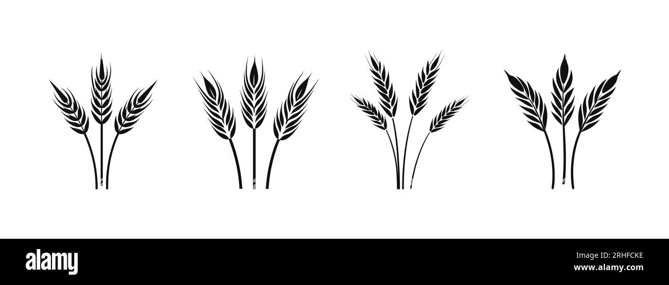 Wheat set ears of wheat logo icon on white background. Vector ...