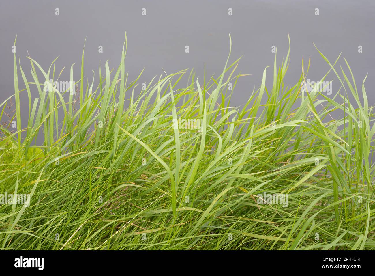 Dull blue background hi-res stock photography and images - Alamy