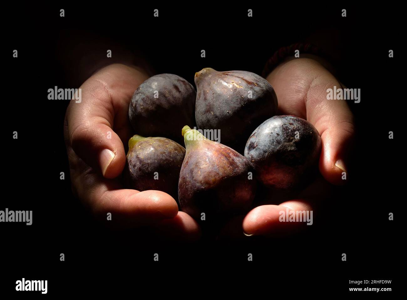 Hands holding figs hi-res stock photography and images - Alamy