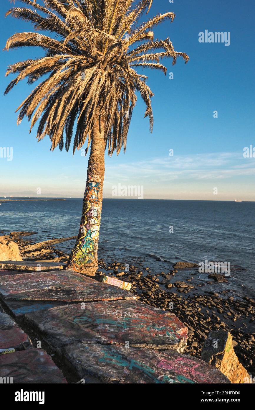 Sunken City is the site of a natural landslide that began in 1929 at ...