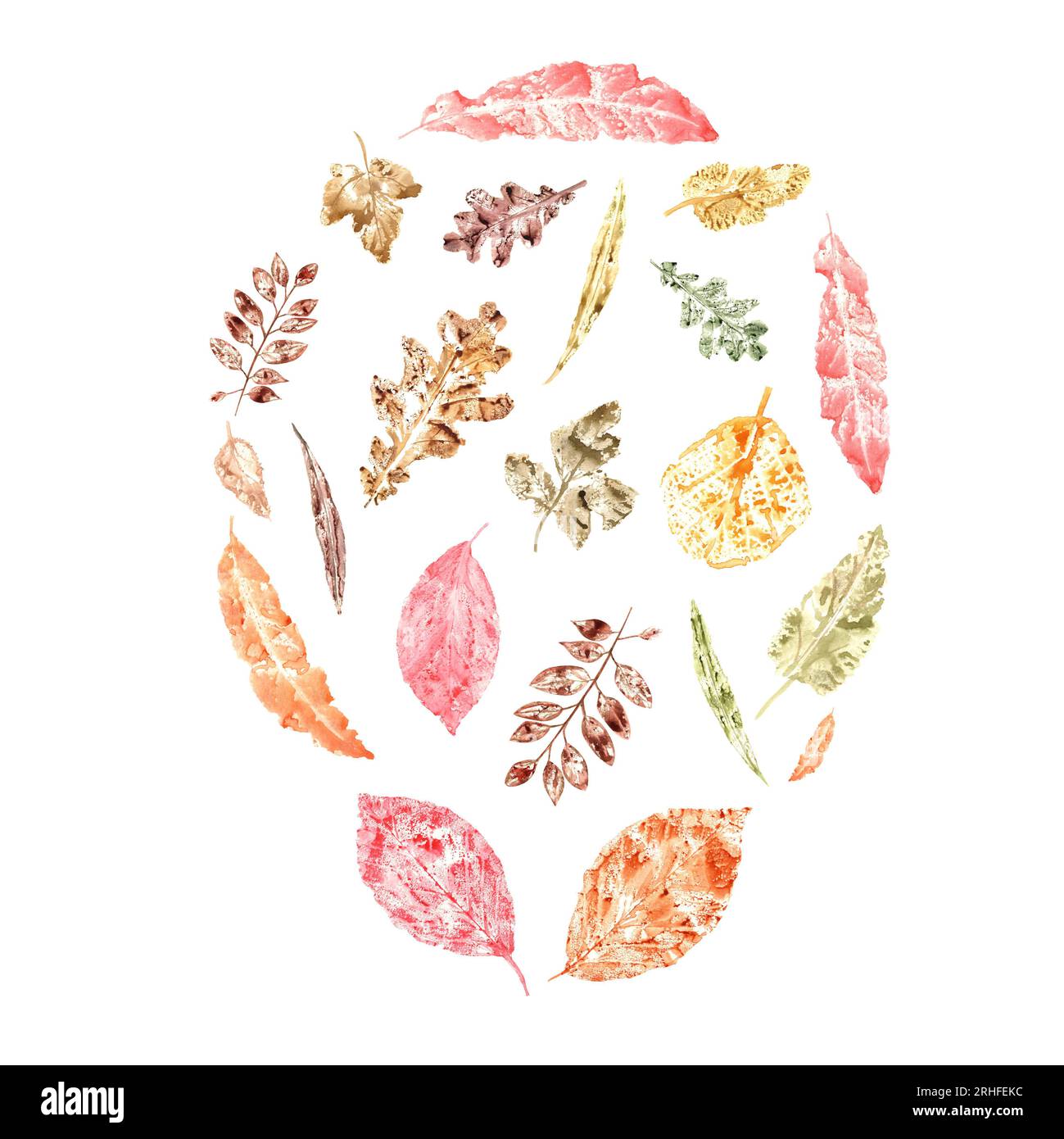 Round dance of autumn dry leaves isolated on white background. Colorful ...