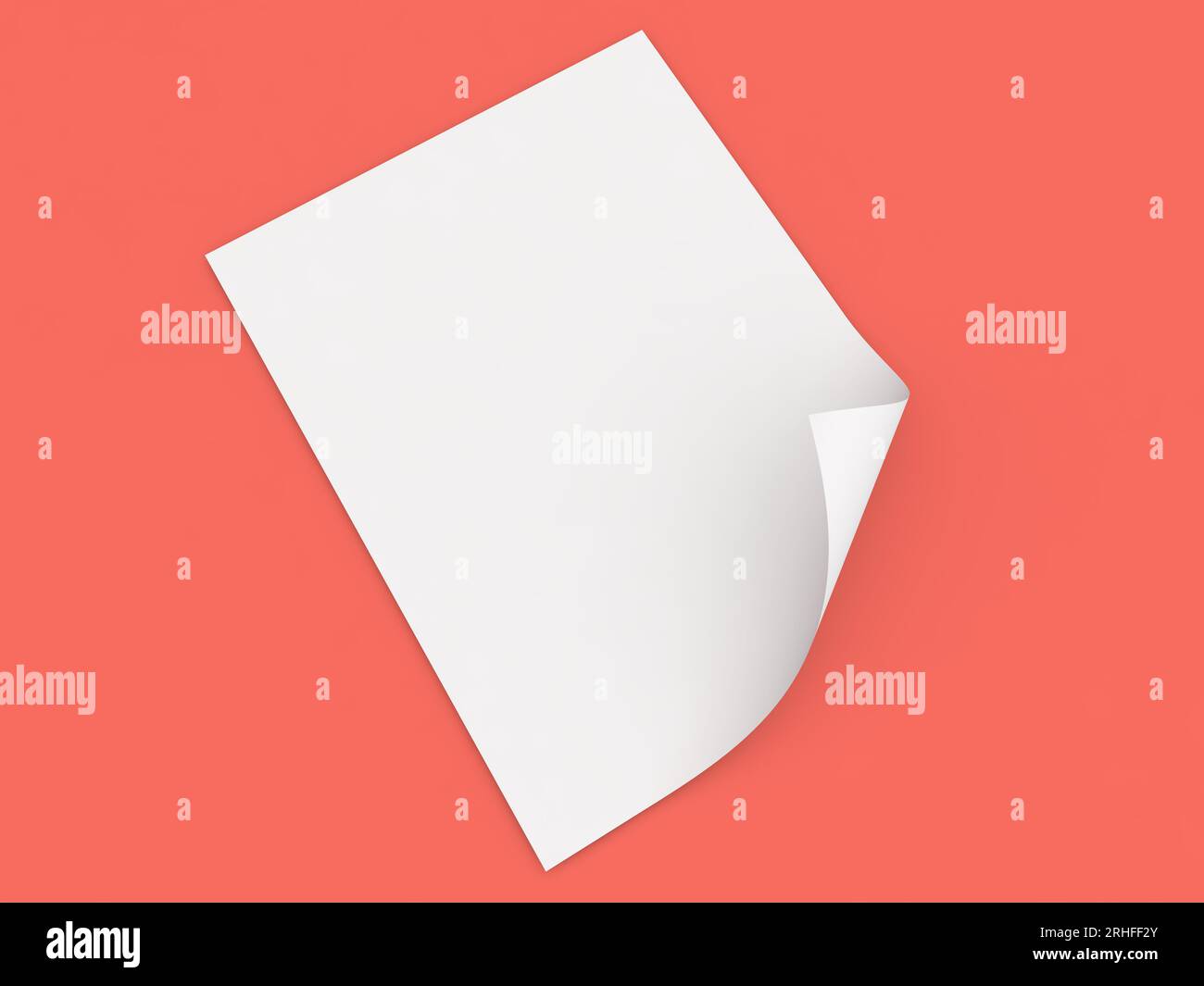 Curved white sheet of A4 paper on a red background. 3d render ...