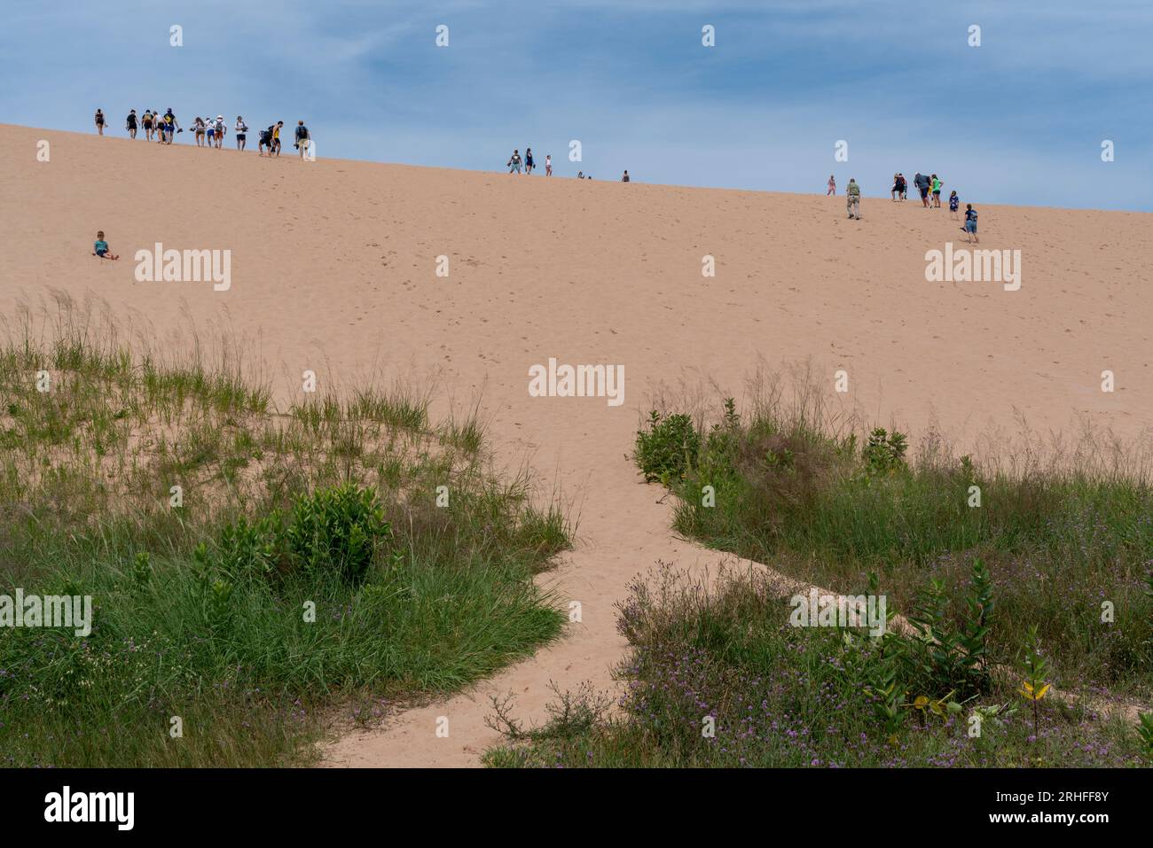 Hikers on Dune Climb in Sleeping Bear National Seashore near Empire, Michigan Stock Photo - Alamy