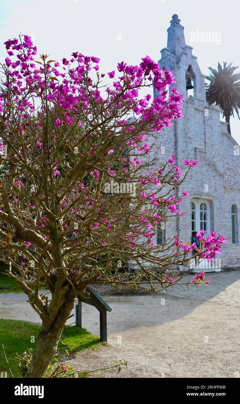 Ermita da toxa o capilla de las conchas hi-res stock photography and ...