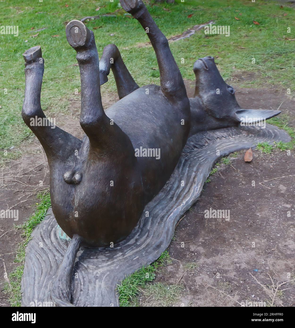 Donkey sculpture hi-res stock photography and images - Alamy
