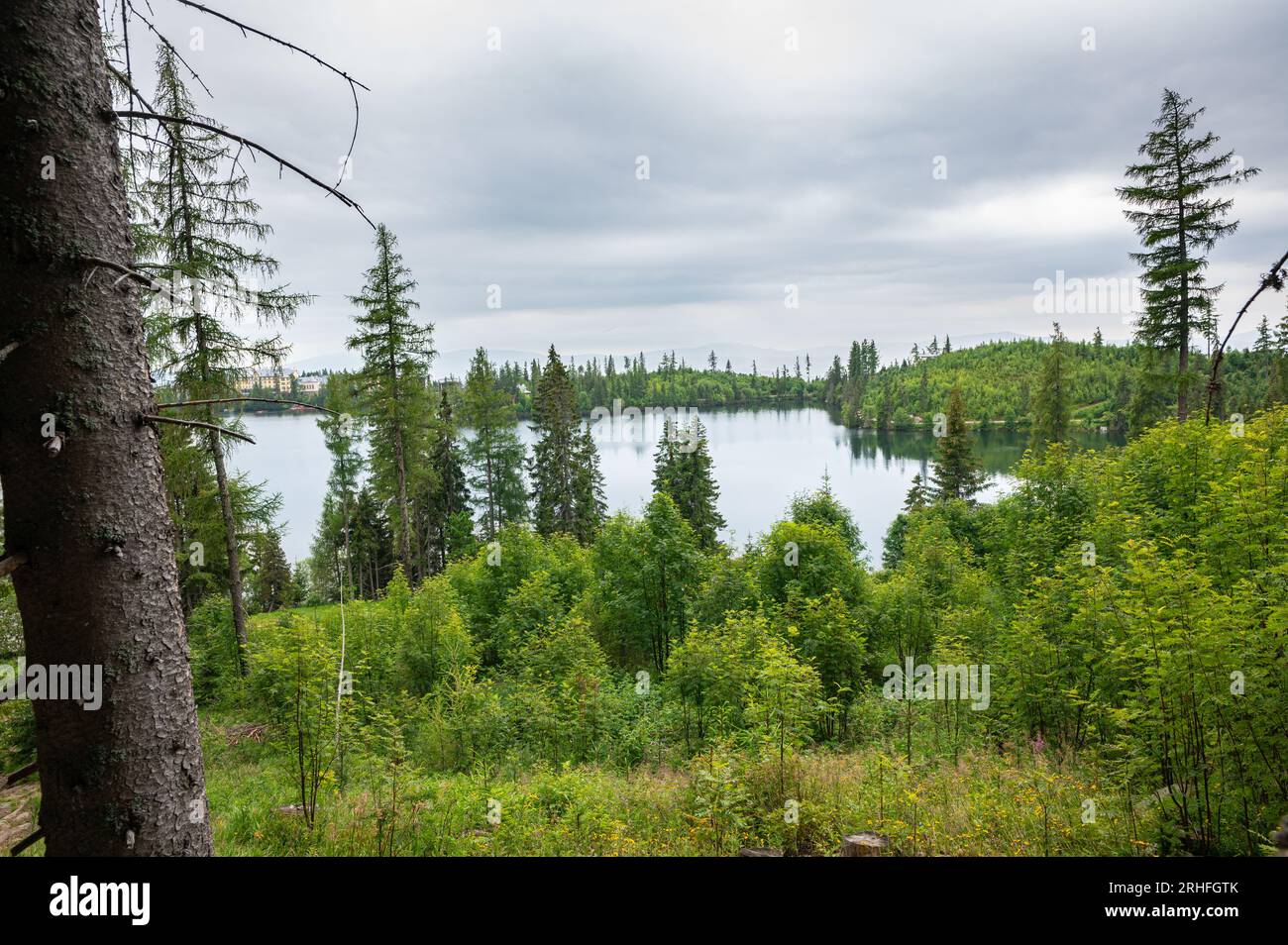 Beautiful view from among spruce trees of the famous lake of Štrbské ...