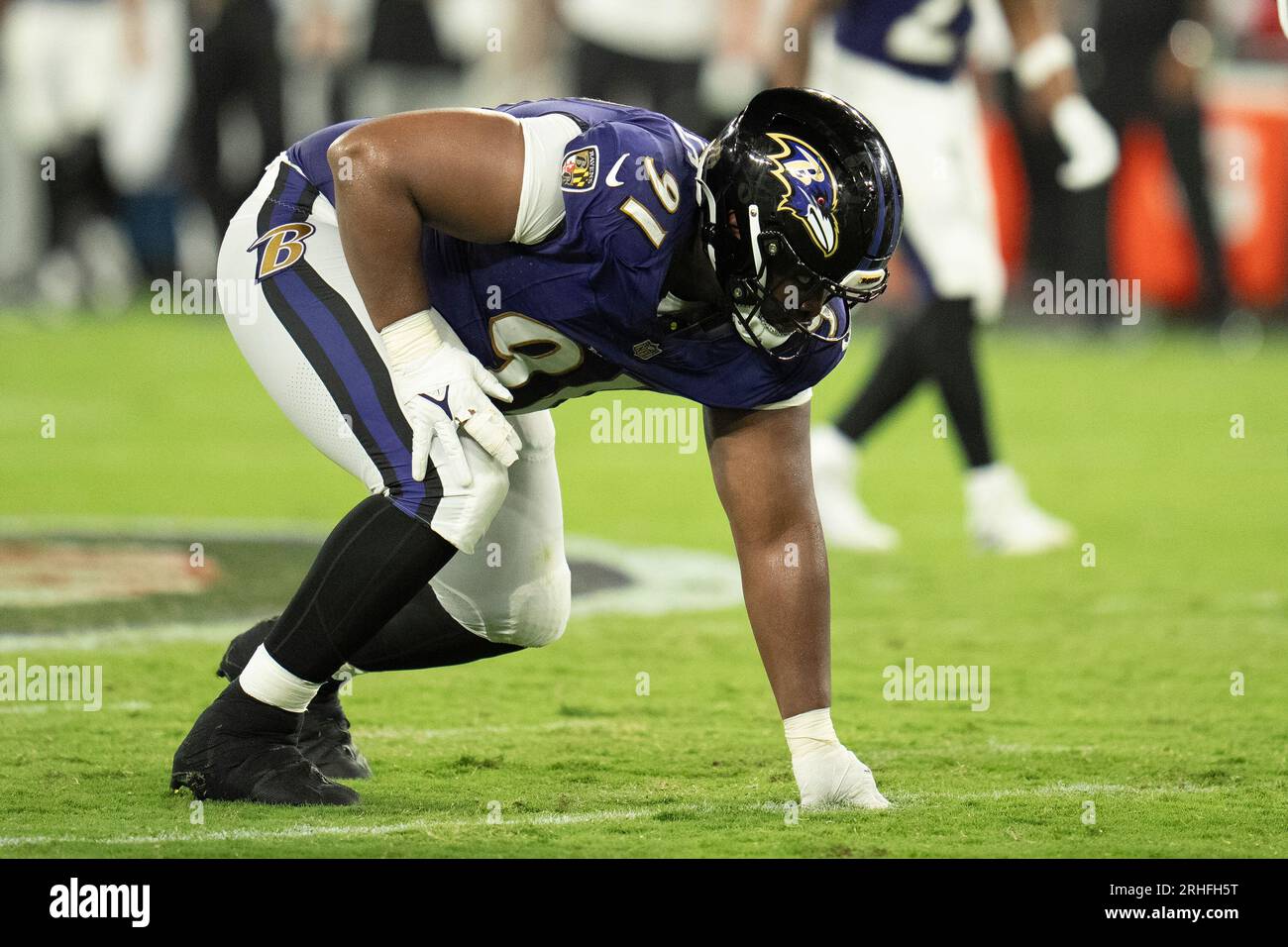 Baltimore Ravens defensive tackle Rayshad Nichols waits for a play ...